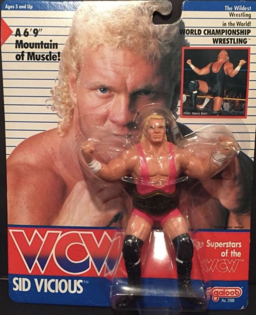WCW Galoob - Wrestling Figures - Retro Figure